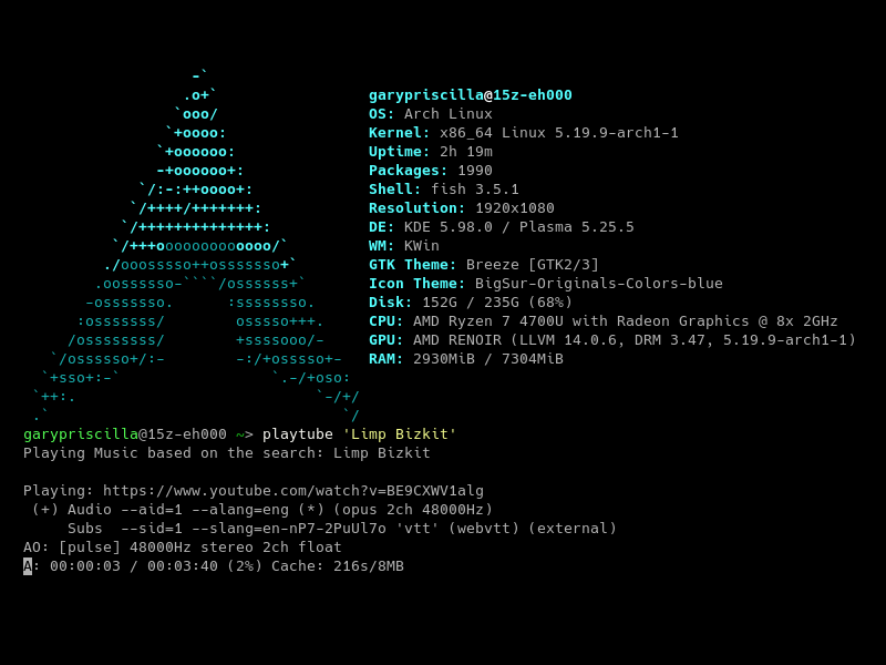 A Simple Command Line YouTube Music Player A Simple Command Line YouTube Music Player